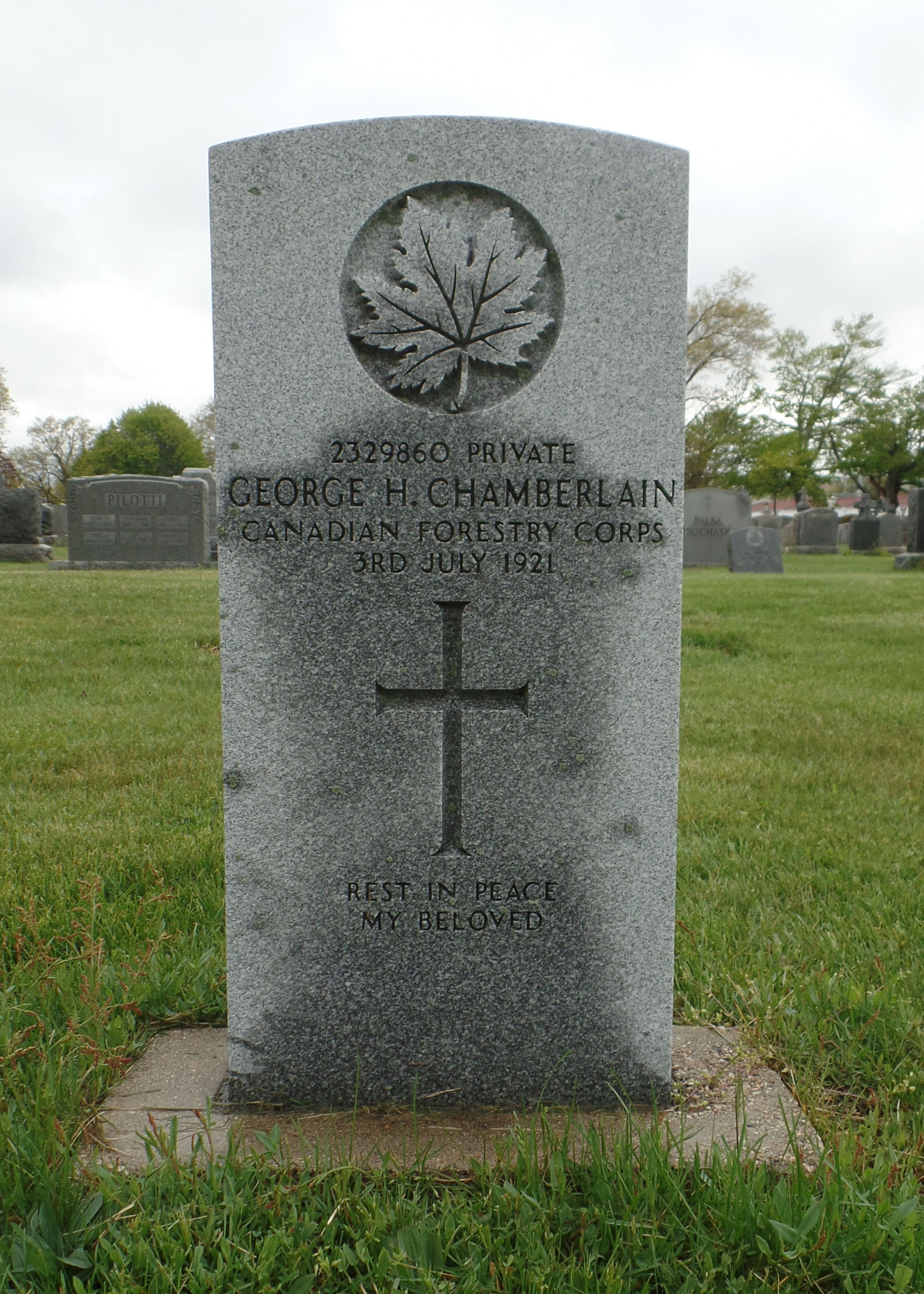 Private George Henry Chamberlain | Sacrifice